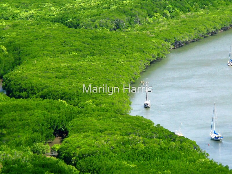 "View to Mangroves - Cooktown, Far North Queensland, Australia." by ...