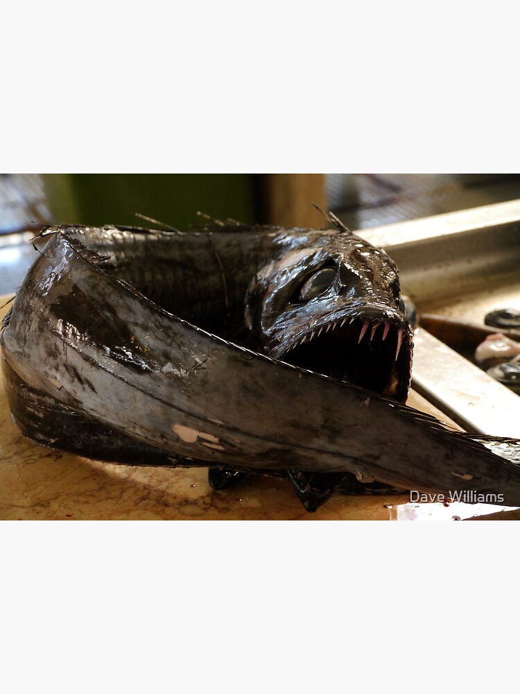 Espada Preta” – The unique Black Scabbard fish of Madeira" Poster by ...
