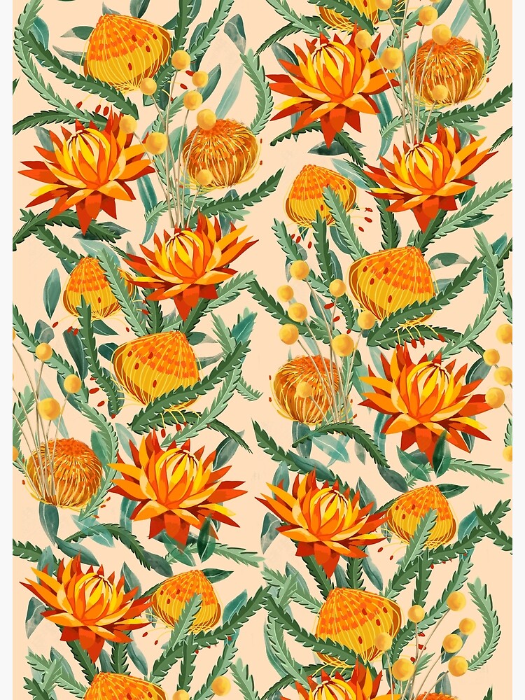 "Botanical Australian native flowers, orange, retro, banksia" Poster ...