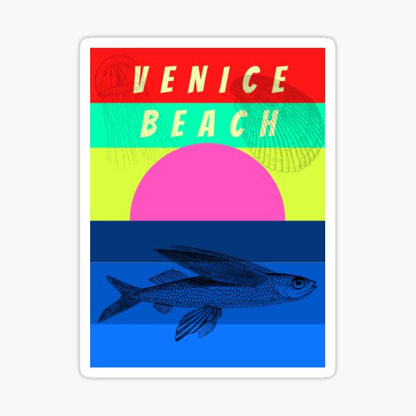 Venicebeach Gifts & Merchandise | Redbubble