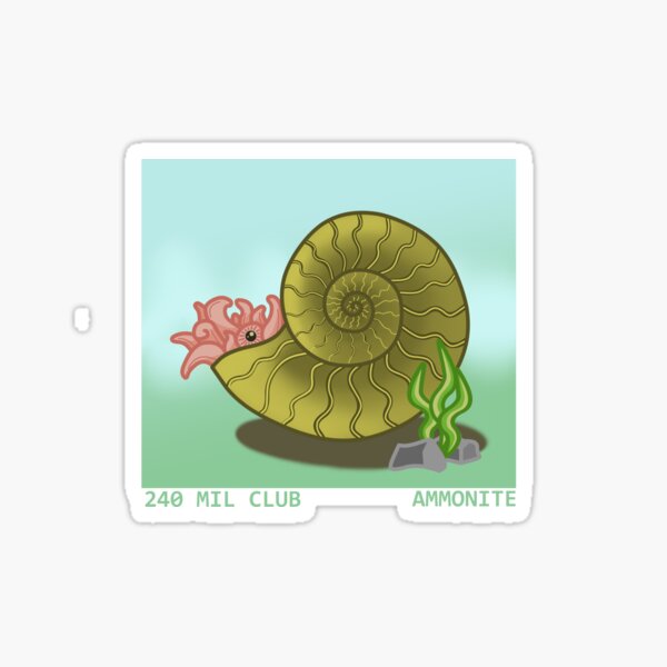 "Ammonite Fossil Art" Sticker for Sale by Celsii | Redbubble