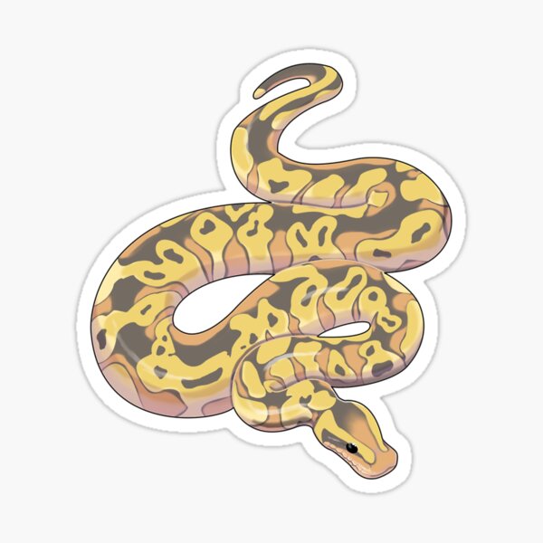 "cute ball python" Sticker by MiaKerryAirs | Redbubble