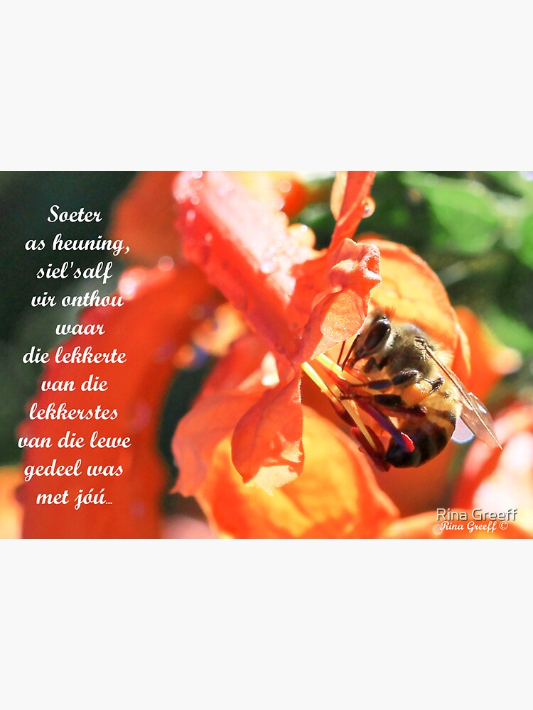 "Soeter as heuning" Poster by RinaG | Redbubble