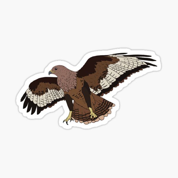 "Woody the Common Buzzard" Sticker by Jlouieasy | Redbubble