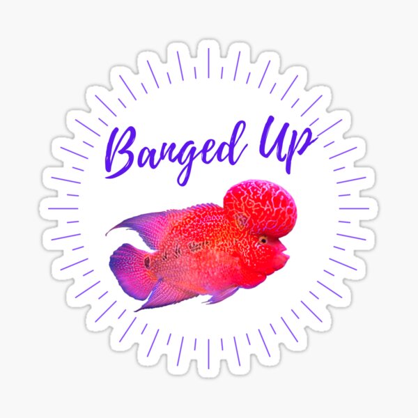 "Flowerhorn Fish Love, Banged Up" Sticker by Vivek0202 | Redbubble