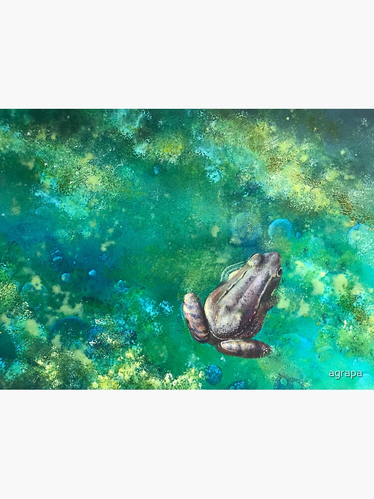 "Old Bullfrog" Sticker for Sale by agrapa | Redbubble