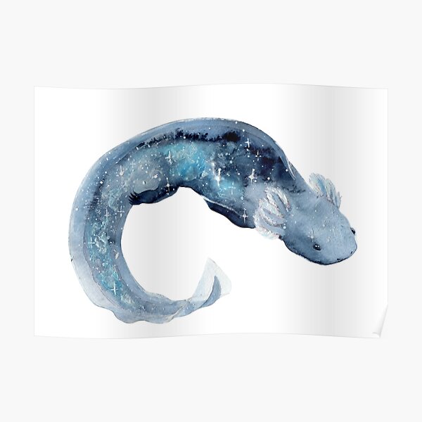 "Galaxy Axolotl" Poster by Threeleaves | Redbubble