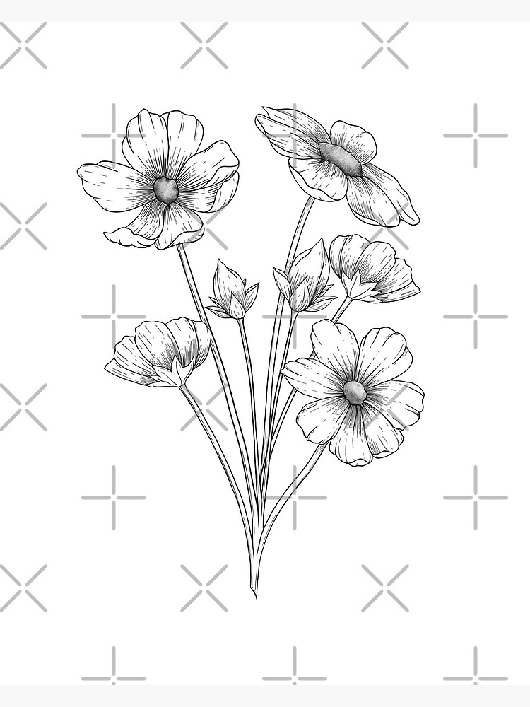 "Cosmos Line Art" Poster for Sale by GraphicsbyNel | Redbubble