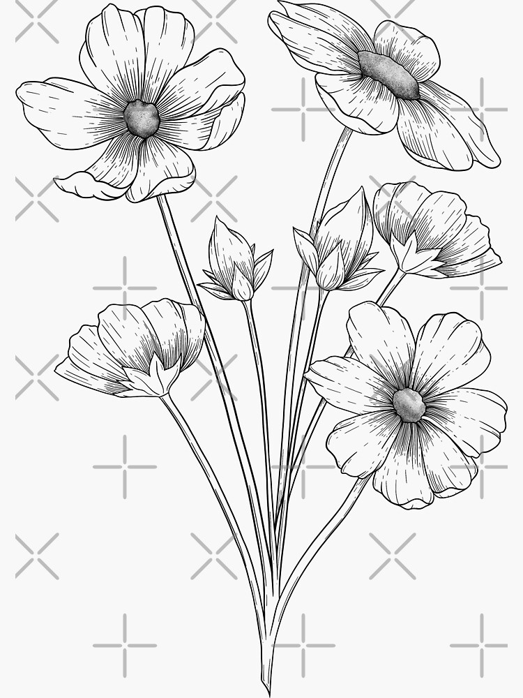 "Cosmos Line Art" Sticker for Sale by GraphicsbyNel | Redbubble