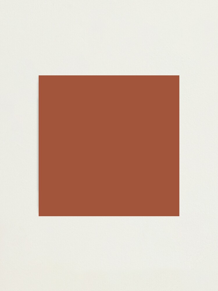 "Cinnamon Stick Pantone Solid Color" Photographic Print for Sale by ...