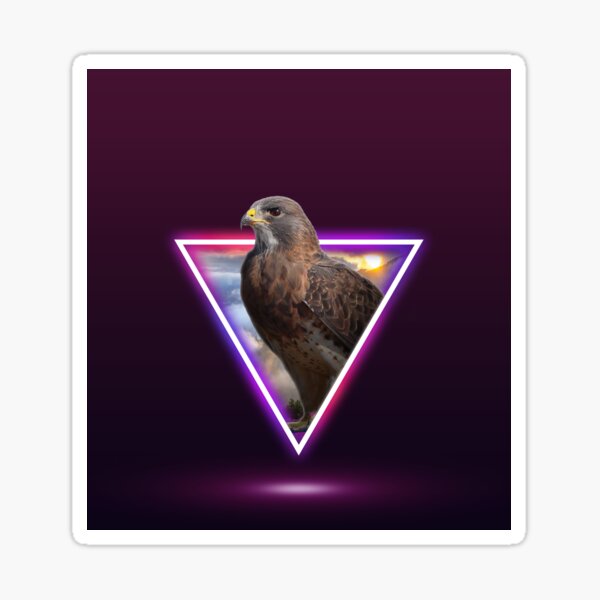 "Hawk Triangle" Sticker by Ethan-James44 | Redbubble