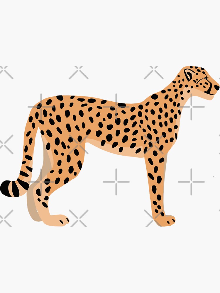 "cheetah" Sticker by lizziesumner | Redbubble