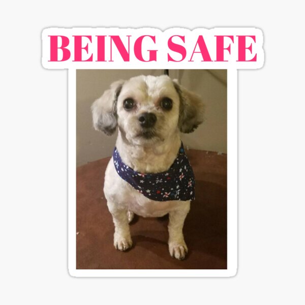 "BEING SAFE (DOG)" Sticker for Sale by iaahylai | Redbubble