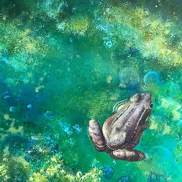 "Old Bullfrog" Sticker for Sale by agrapa | Redbubble