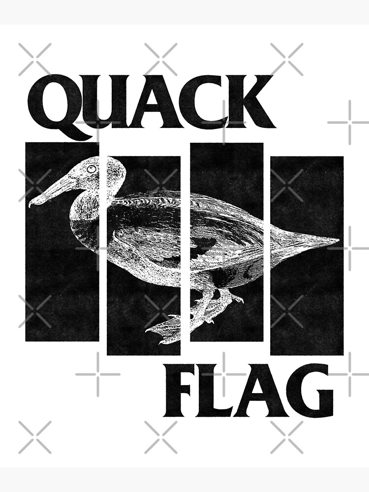 "Quack Flag" Poster for Sale by NoizeandLight | Redbubble