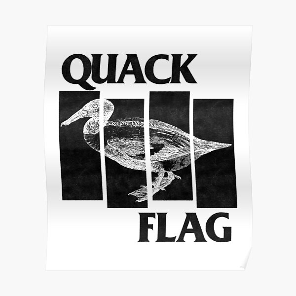 "Quack Flag" Poster for Sale by NoizeandLight | Redbubble
