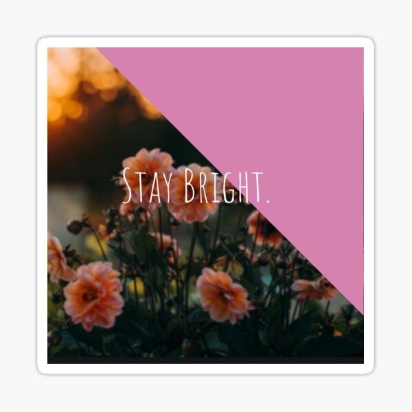 "Stay bright, pink flower aesthetic background/sticker/picture" Sticker ...