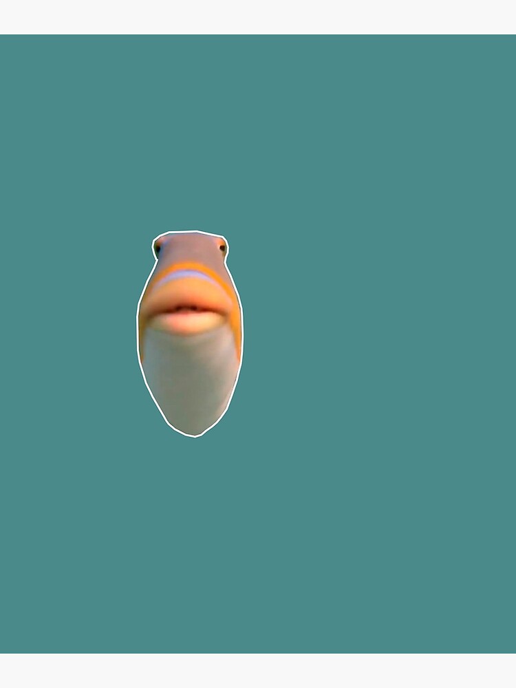 "Fish meme (meme de pescado)" Art Print by Anitalm | Redbubble