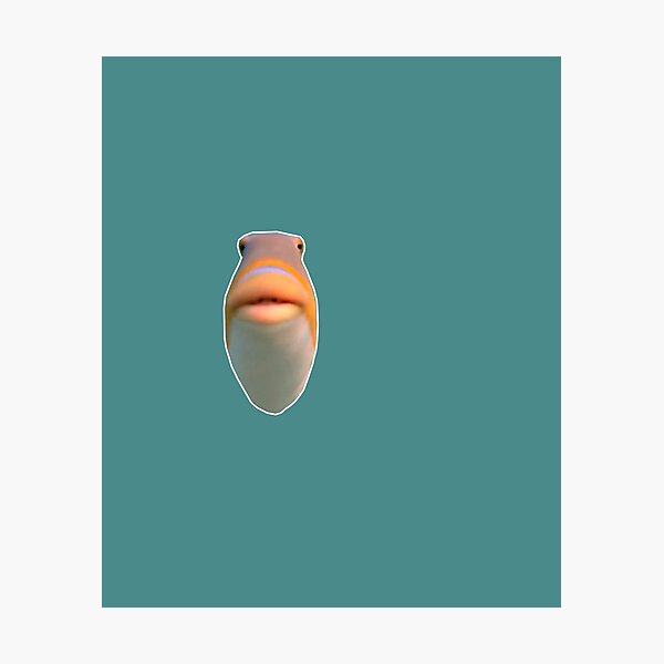 "Fish meme (meme de pescado)" Photographic Print by Anitalm | Redbubble