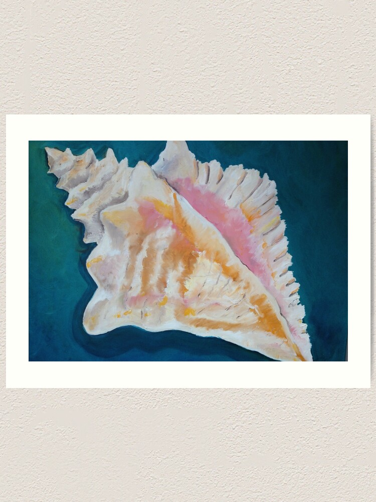 " SEA SHELL CONCH CAYMAN ISLANDS renaissance rebirth" Art Print by ...