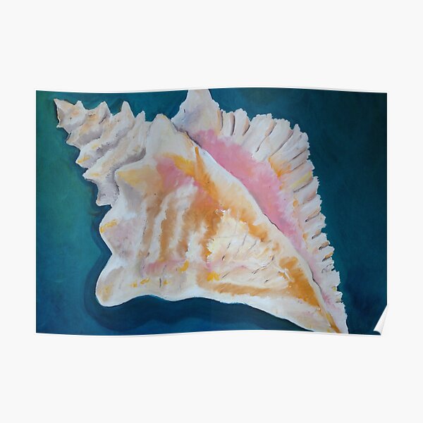 " SEA SHELL CONCH CAYMAN ISLANDS renaissance rebirth" Poster for Sale ...