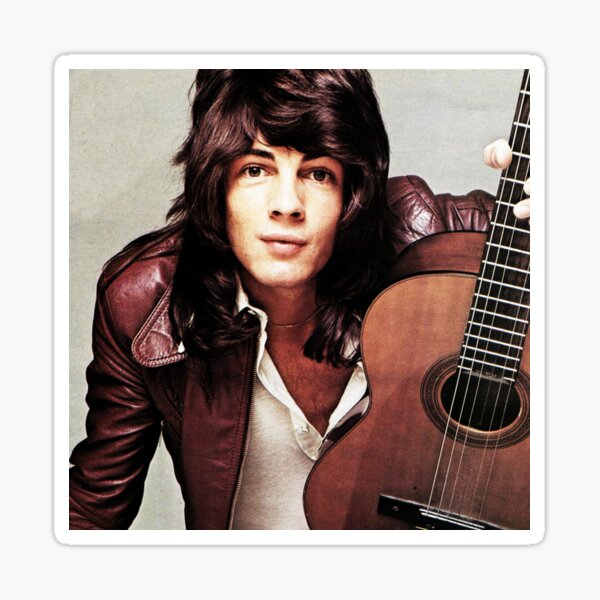 Rick Springfield Stickers | Redbubble