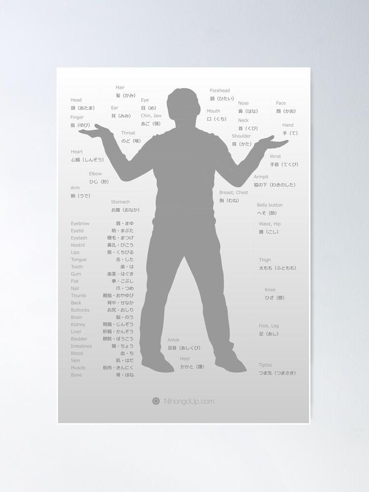 "Japanese body parts cheat sheet & poster" Poster for Sale by Philip ...