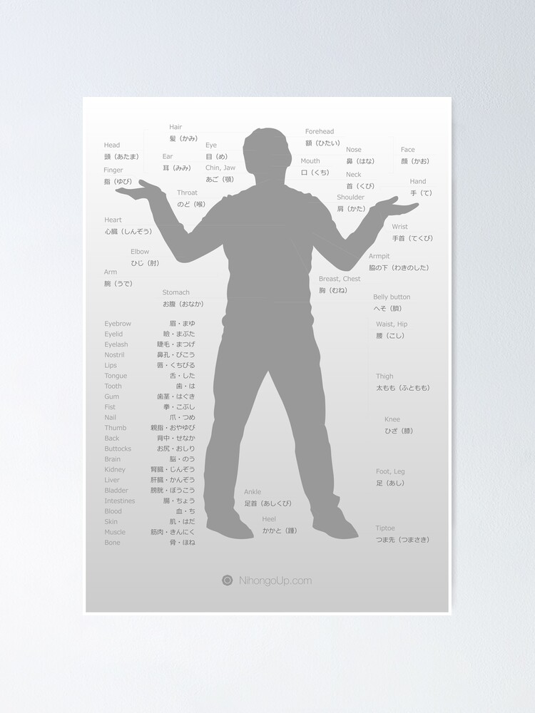 "Japanese body parts cheat sheet & poster" Poster by seifip | Redbubble