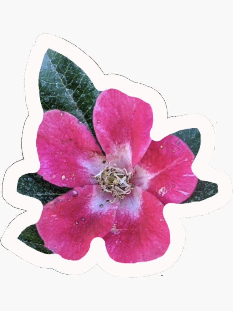 "cute pink flower" Sticker for Sale by pix-craft | Redbubble