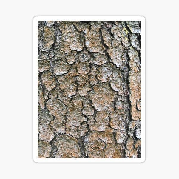 "Tree bark" Sticker for Sale by Coolprints1 | Redbubble