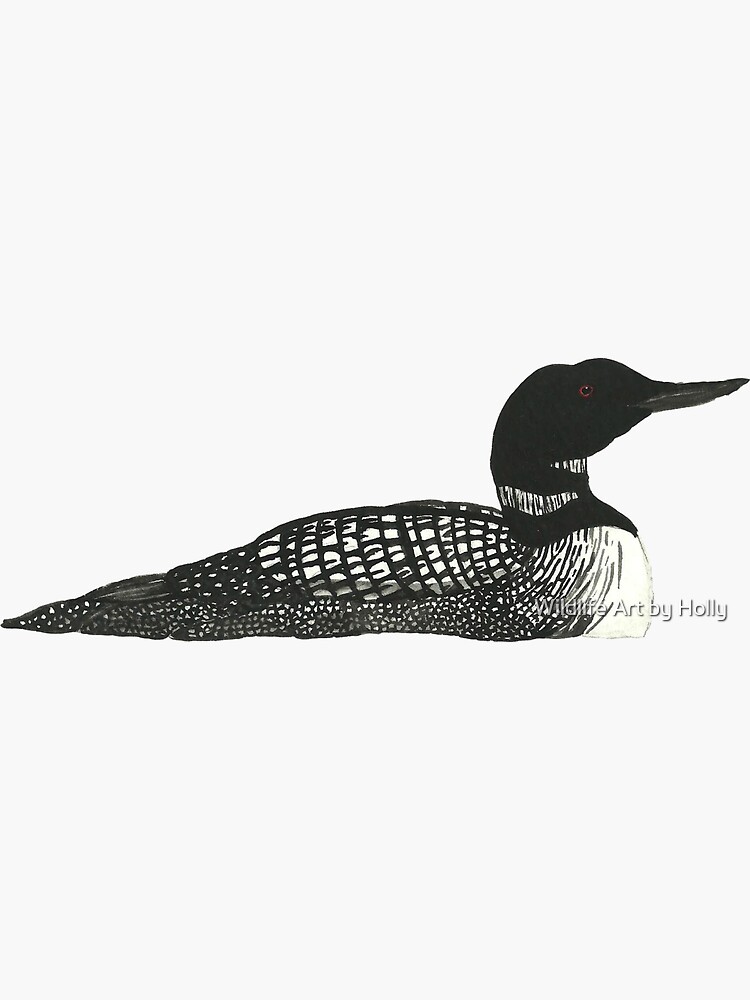 "Common Loon" Sticker for Sale by LadyElizabeth | Redbubble