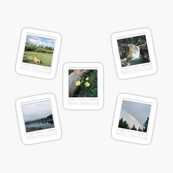 "polaroid pack" Sticker by Jsmoll | Redbubble