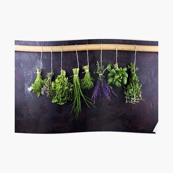 " sage" Poster for Sale by blys-raw | Redbubble