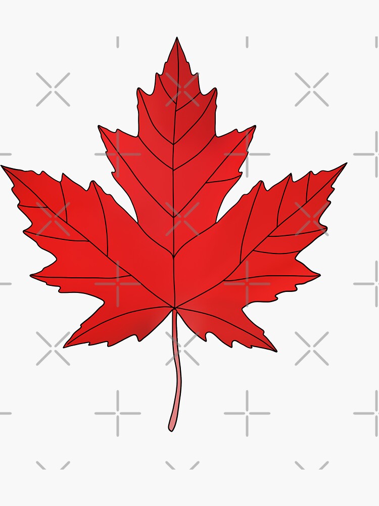 "Maple Leaf" Sticker for Sale by jadydesigns | Redbubble