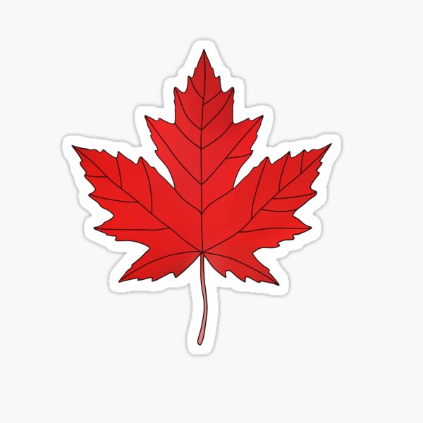 "Maple Leaf" Sticker for Sale by jadydesigns | Redbubble