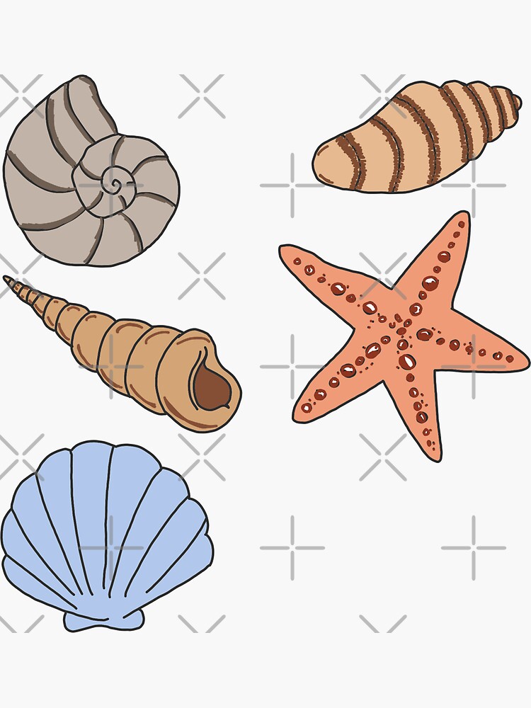 "Shells" Sticker for Sale by stickersbylaurt | Redbubble