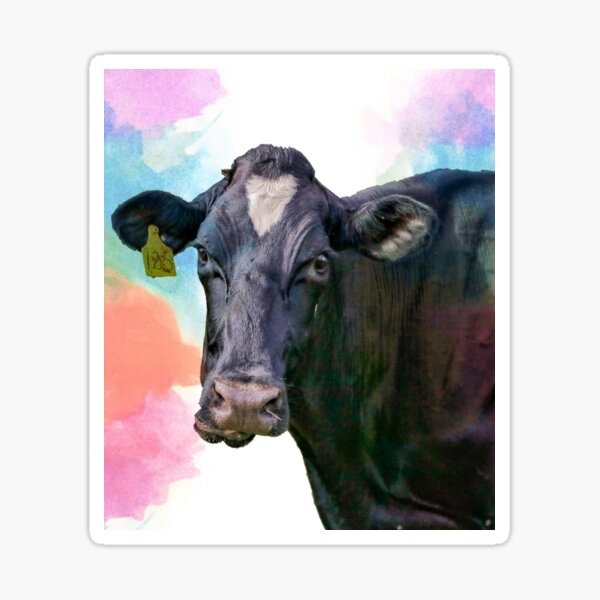 "Holy cow" Sticker for Sale by jginorio | Redbubble