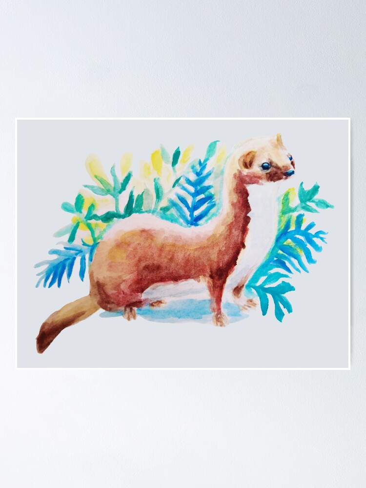 "Botanical Weasel " Poster for Sale by Cinta-llating | Redbubble