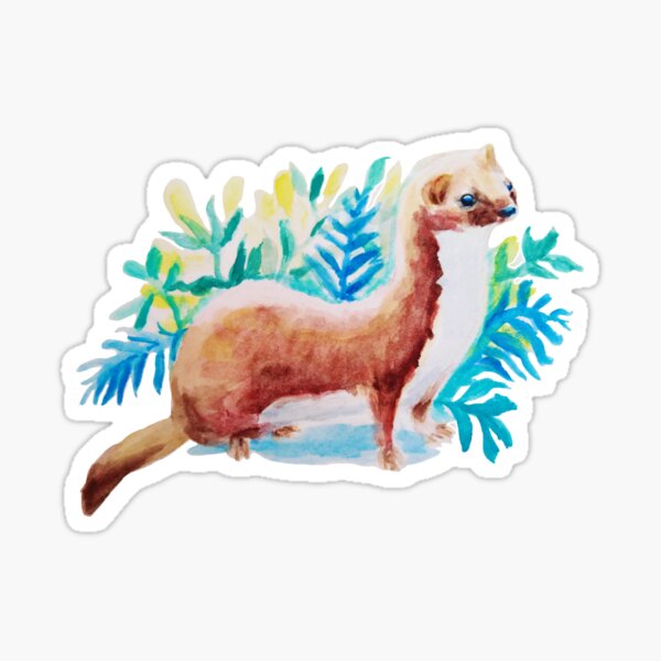 "Botanical Weasel " Sticker for Sale by Cinta-llating | Redbubble