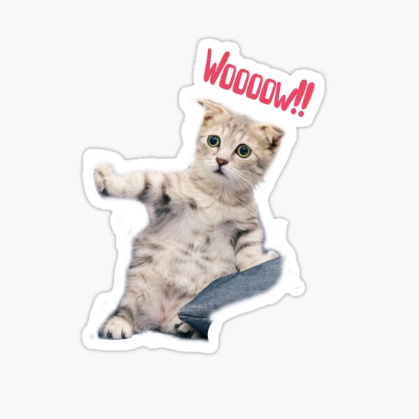 Wooow Gifts & Merchandise | Redbubble