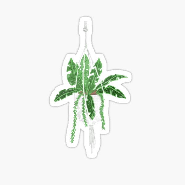"Hanging Plants" Sticker by MaudTowers | Redbubble