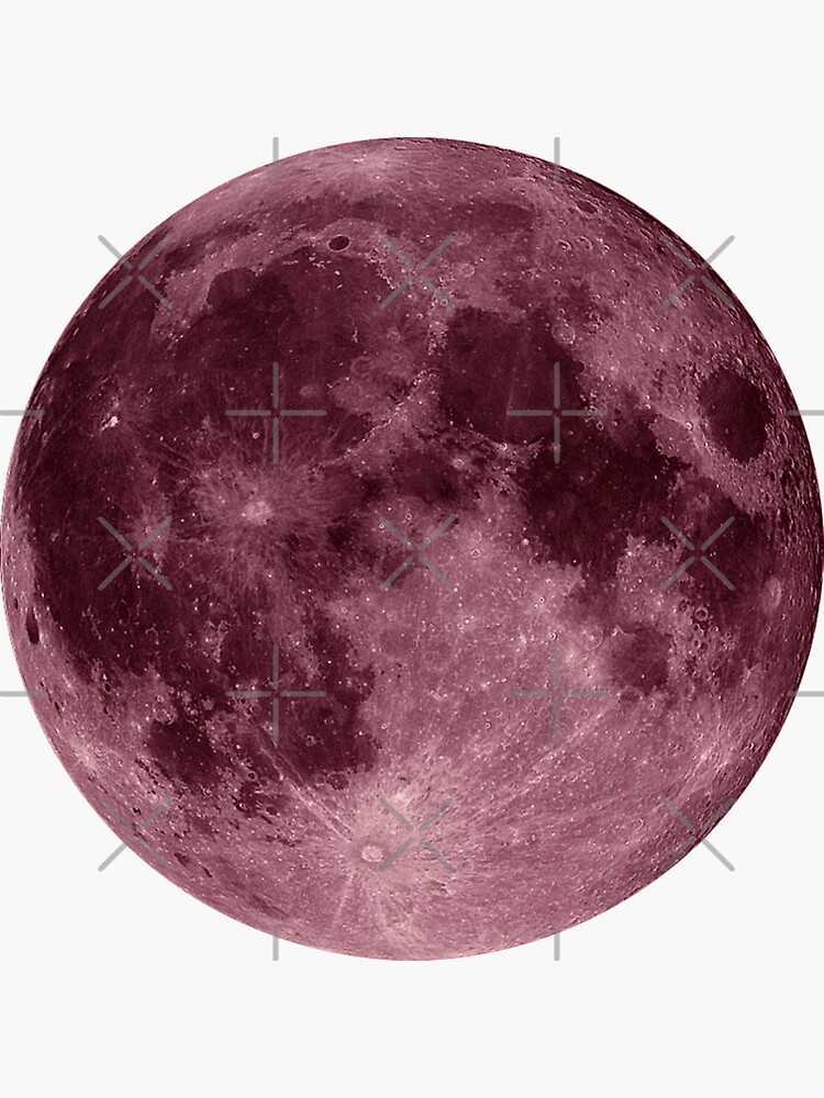 "Pink Moon" Sticker for Sale by NomiBee | Redbubble