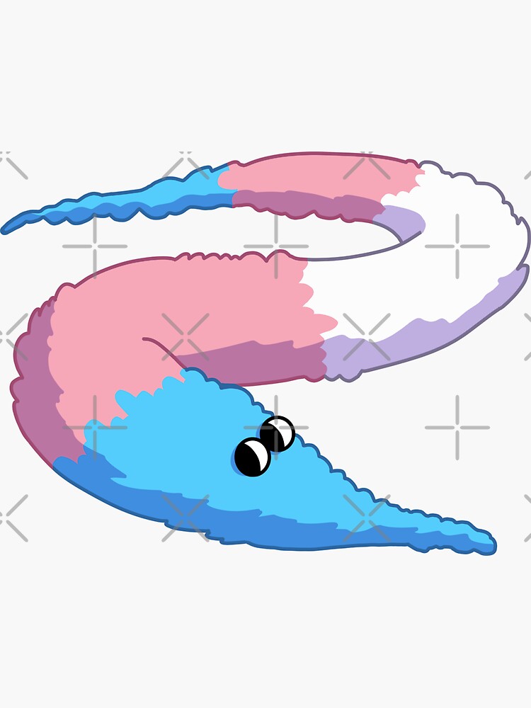 "Transgender Pride Flag | Worm on a String" Sticker by olivks | Redbubble