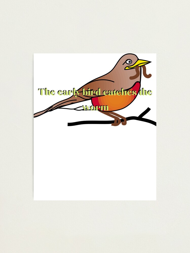 Lámina fotográfica «El pájaro temprano atrapa al gusano» de barney2309 ...