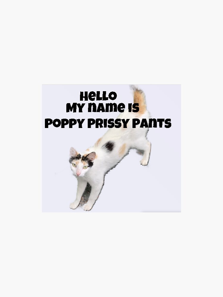 "Poppy Prissy Pants The Cat " Sticker for Sale by Brendabear | Redbubble