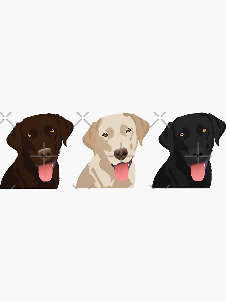 "Three Adorable Labradors" Sticker for Sale by KCPetPortraits | Redbubble
