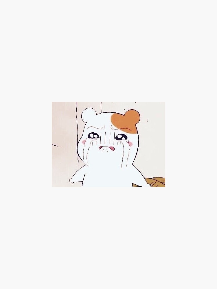 "Hamtaro Crying Meme" Sticker for Sale by valleygalpal | Redbubble