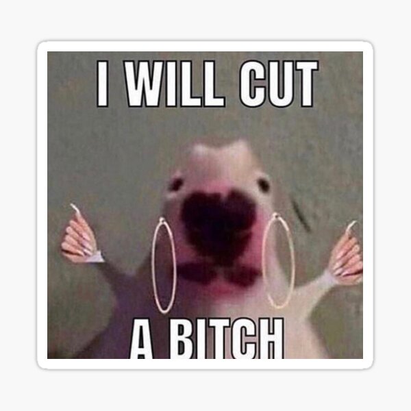 "Hilarious walter meme sticker" Sticker for Sale by Melodyg123 | Redbubble