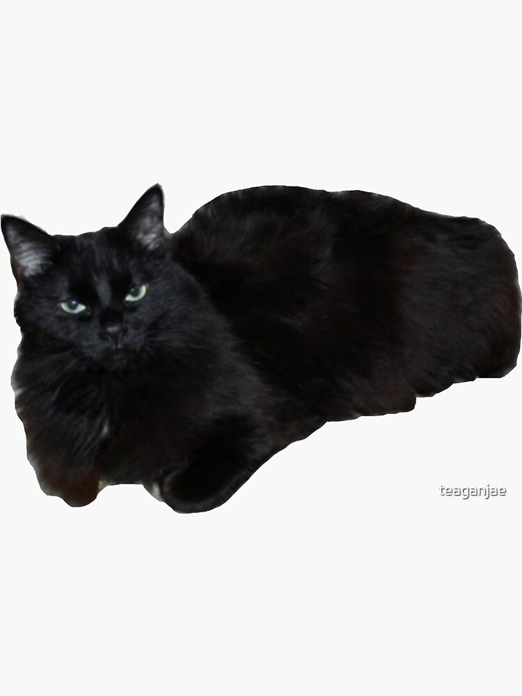 "Baby Sheena " Sticker for Sale by teaganjae | Redbubble