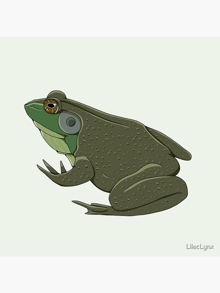 American Bullfrog Cartoon